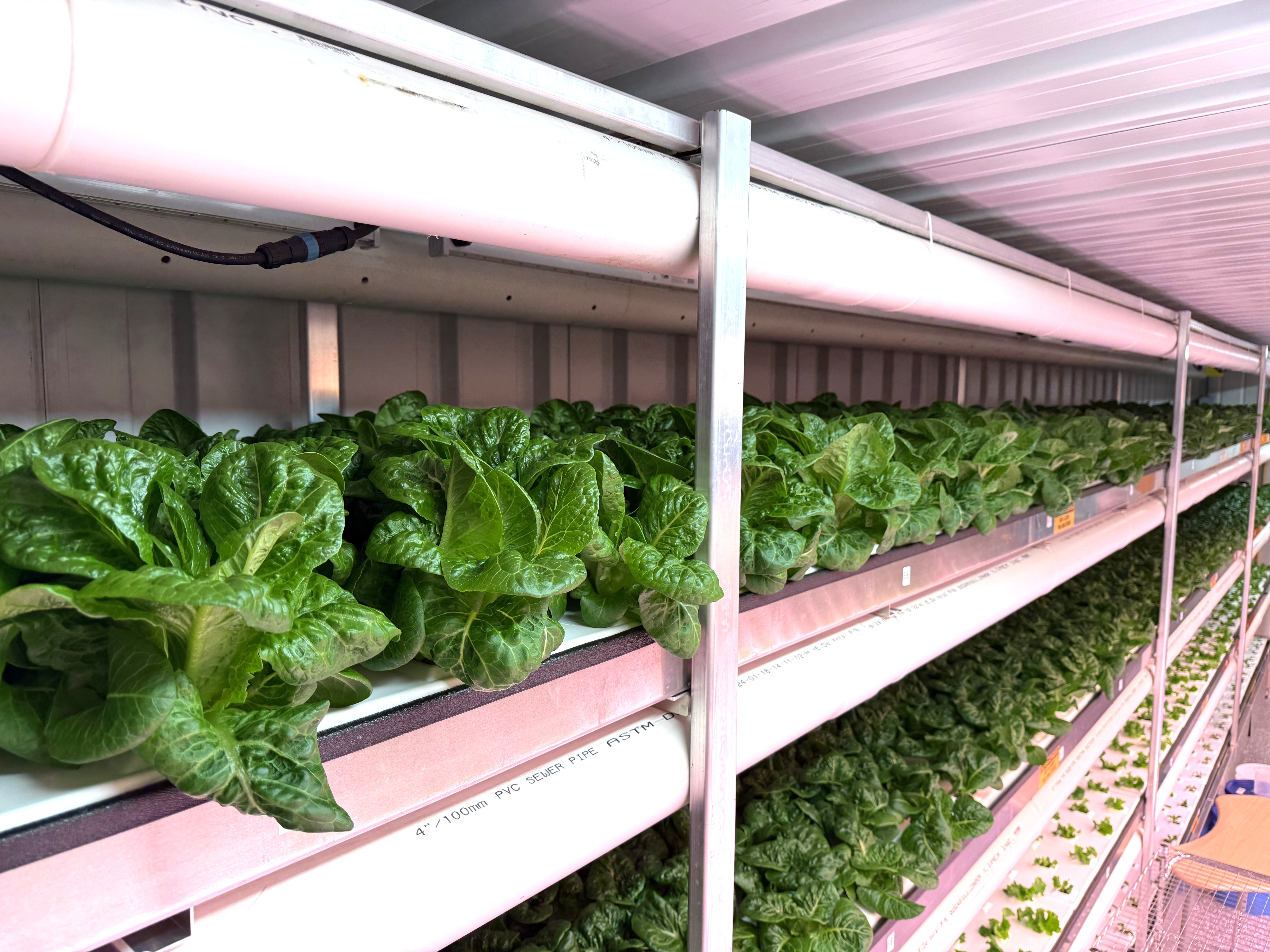 Always Growing Produce Now Available Online - High Prairie School Division